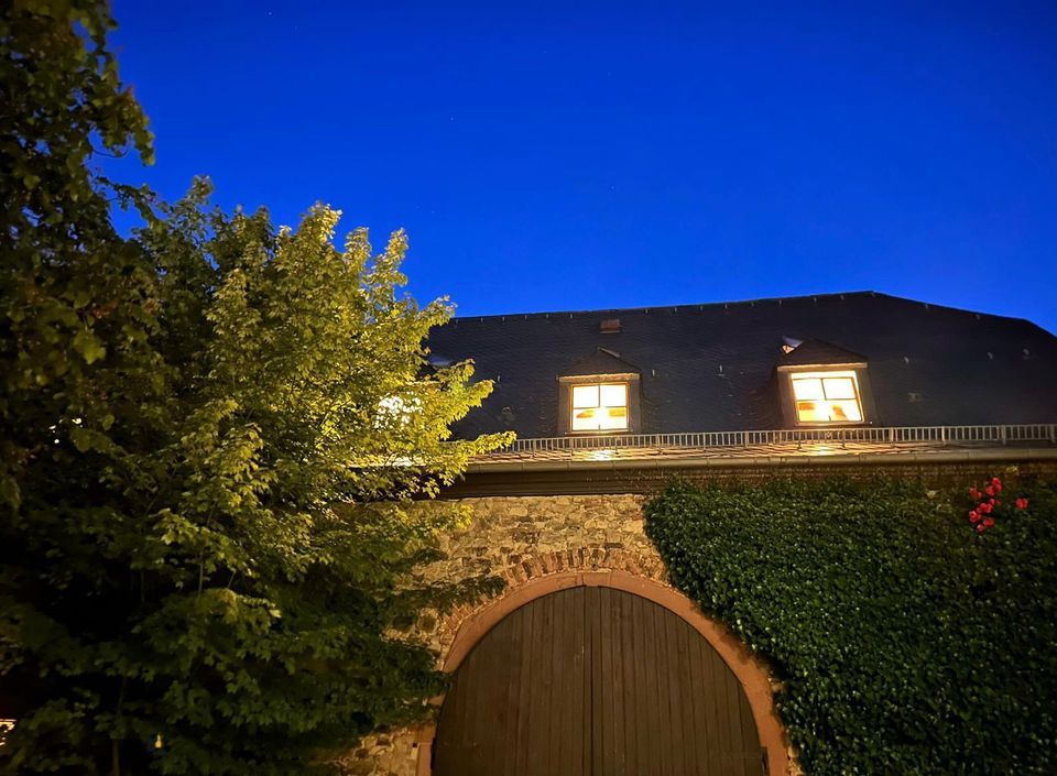 Lesung: Champagner Luft | Ober-Erlenbach, Bad Homburg, HE | March 15, 2024