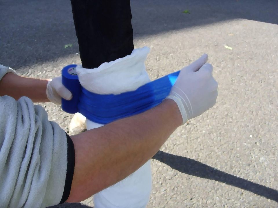 Equine First Aid for Horse Owners | Paton and Lee Equine Veterinary ...