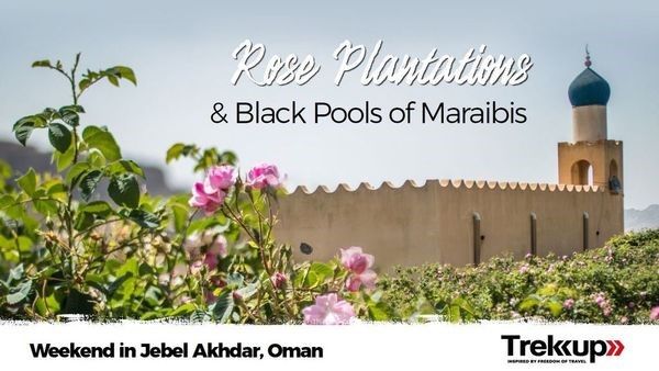 Rose Plantations & Black Pools of Maraibis | Jebel Akhdar, Oman at ...