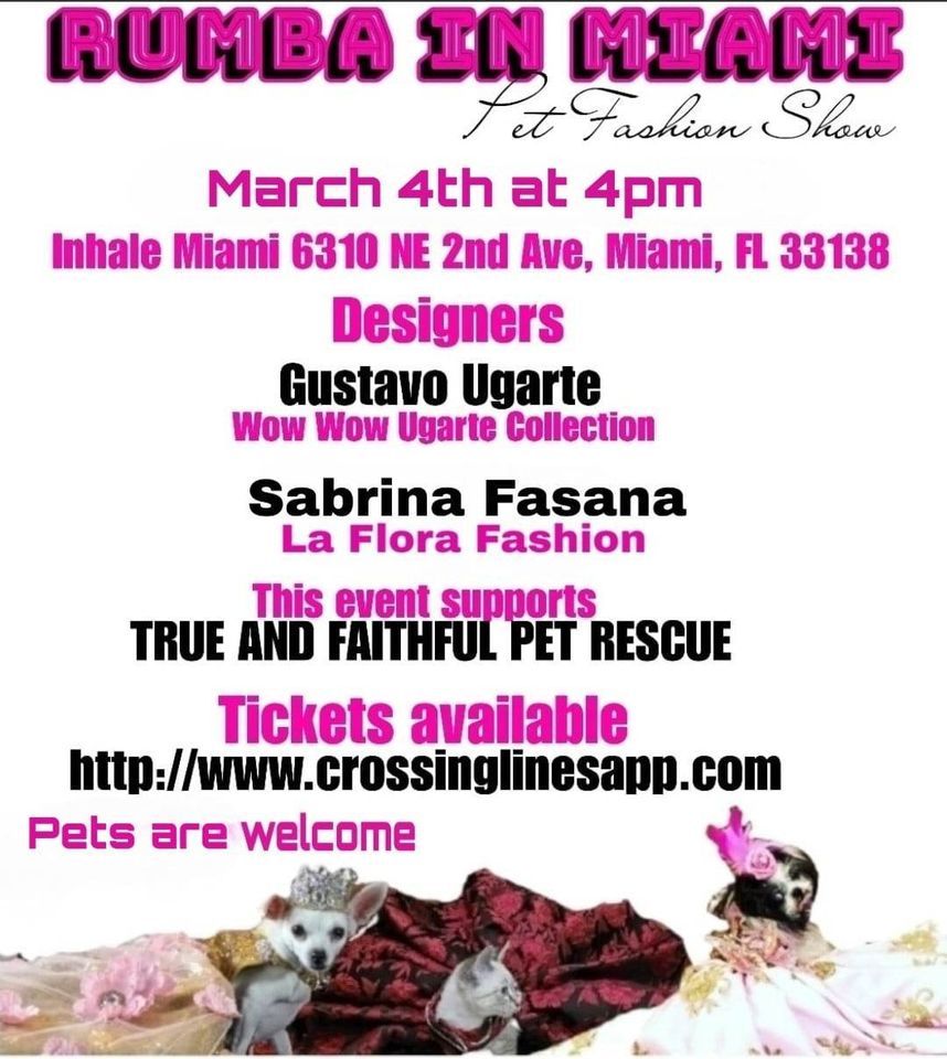 Rumba in Miami Dog Fashion Show | Inhale Miami | March 4, 2023