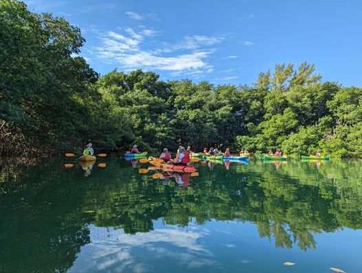 Coastal Eco Tour - Kayak, Paddle Board, and Snorkeling Adventure at ...