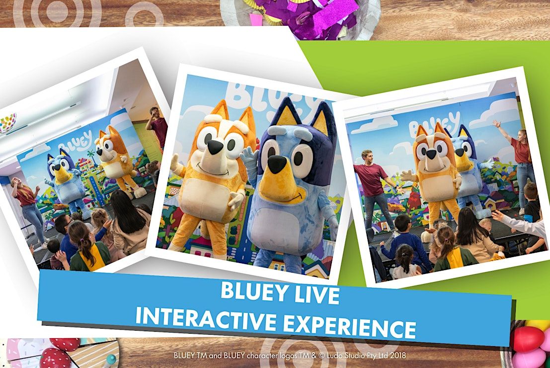 Bluey Live Interactive Experience @ Kids Club Tweed Heads Family Fun ...