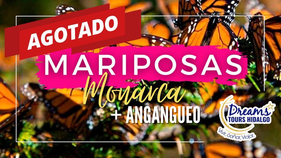 Santuario de la Mariposa Monarca + Angangueo | Dreams Tours Hidalgo, Zumpango, MX | March 5, 2023
