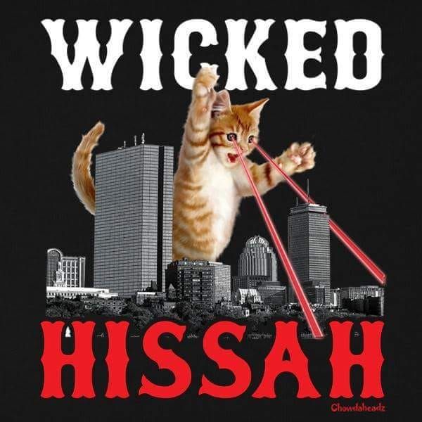 Bill Ashs 3FATCATS REVERE BEACH | Bill Ash's Lounge, Revere, MA | May ...