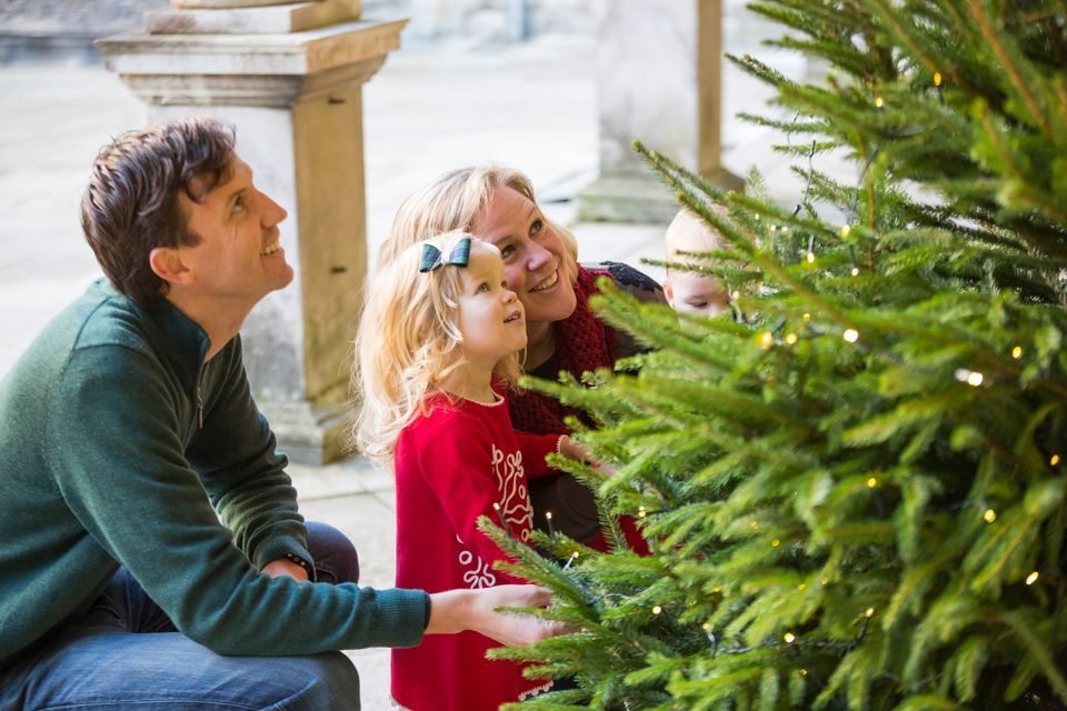 Ilam Park Christmas Tree Sales at Ilam Park, Ashbourne on 26th November ...