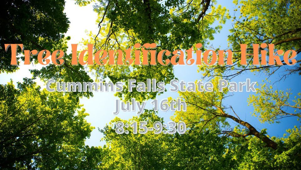 Tree Identification Hike | Cummins Falls State Park, Cookeville, TN | July 16, 2022