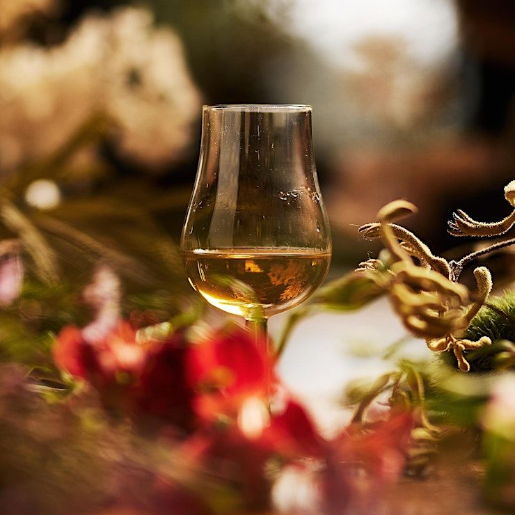 Barrel Hall at Fox Classic Car Collection at Fox Classic Car Collection ...