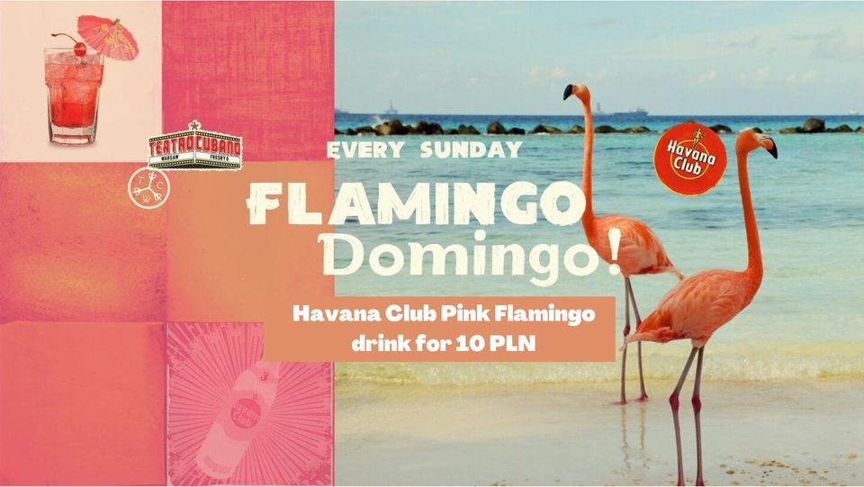 Flamingo Domingo every Sunday @TeatroCubanoWarsaw | Teatro Cubano ...