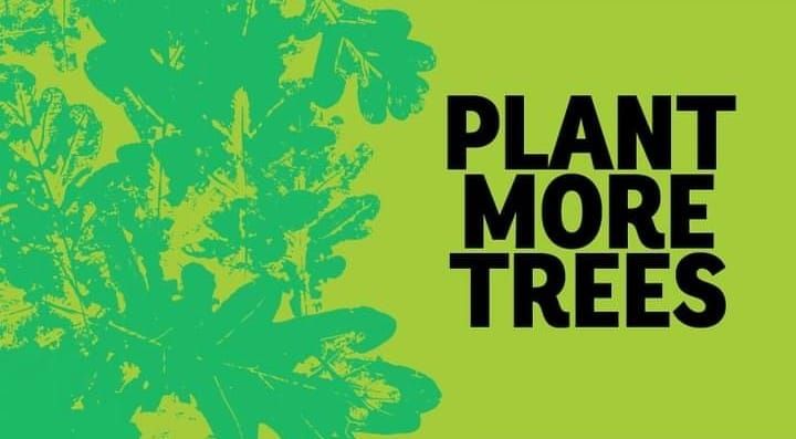 Community Tree Planting Days at Cligga Cliff Farm, Perranporth on 25th ...