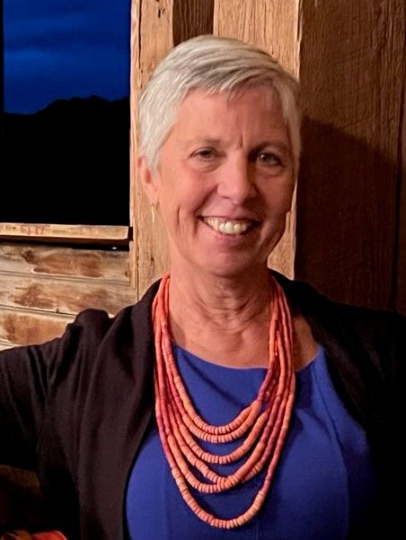 Preservation expert Deb Sheals speaking at CoMo Preservation at ...