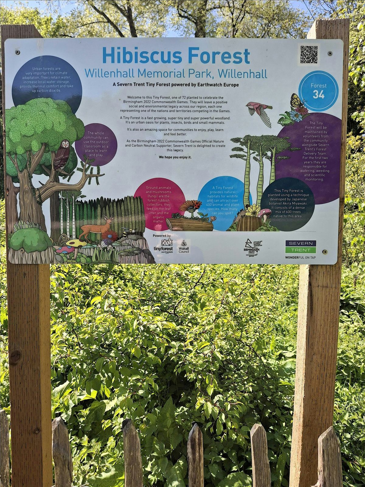 Citizen Science at Willenhalls Tiny Forest at Willenhall Memorial Park ...