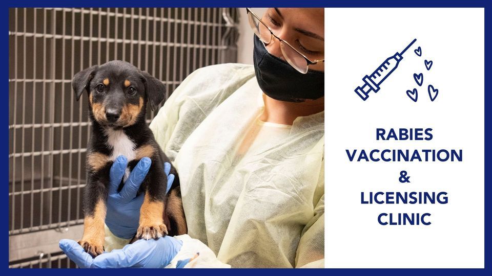 Rabies Vaccination and Licensing Clinic at 2500 S 27th Ave, Phoenix, AZ ...