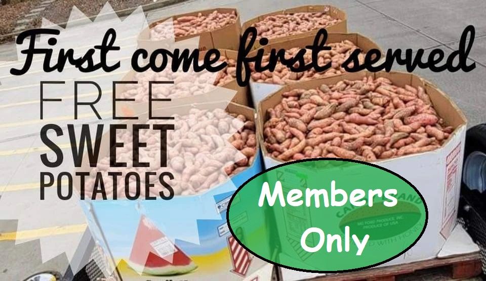Sweet potatoes - Members Only | Redemption Church of Crossville TN ...
