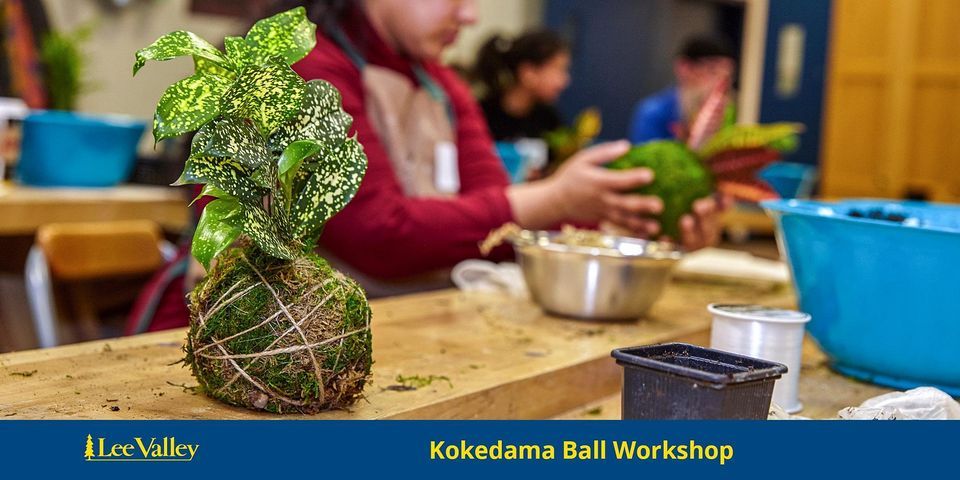 Kokedama Ball Workshop with Emma The Urban Botanist at 900 Morrison ...