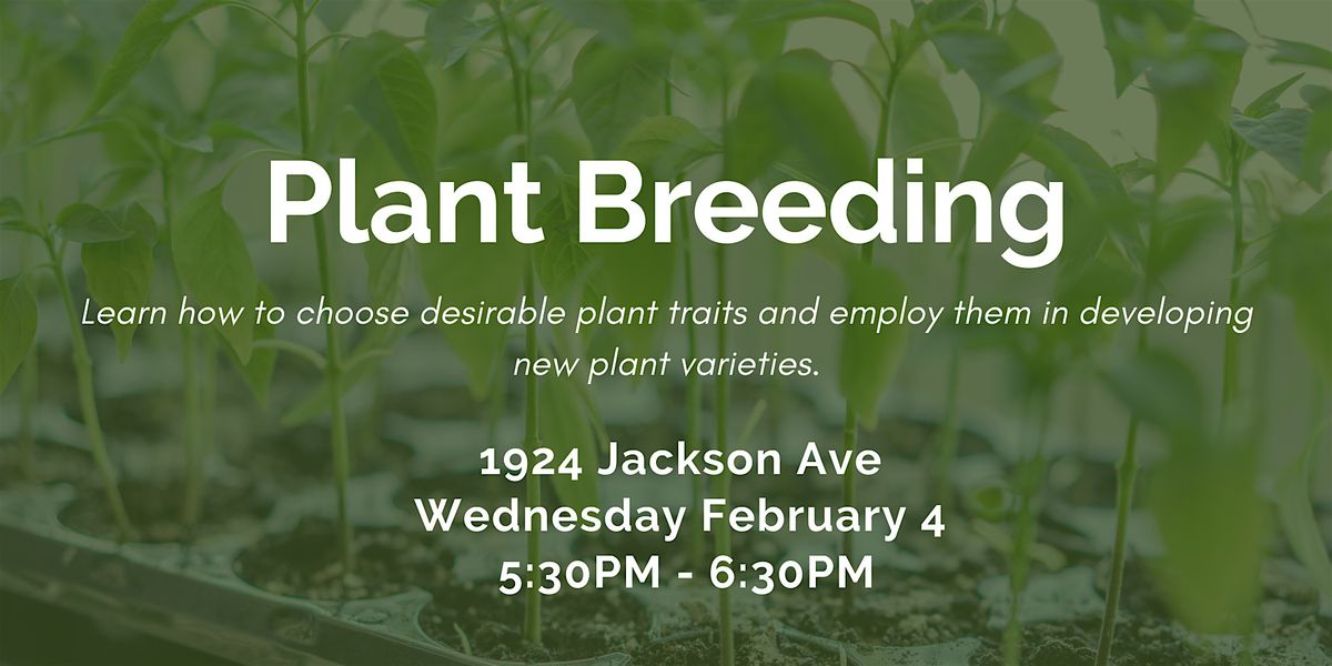 Plant Breeding at 1924 Jackson Ave, New Orleans on 4th February, 2026