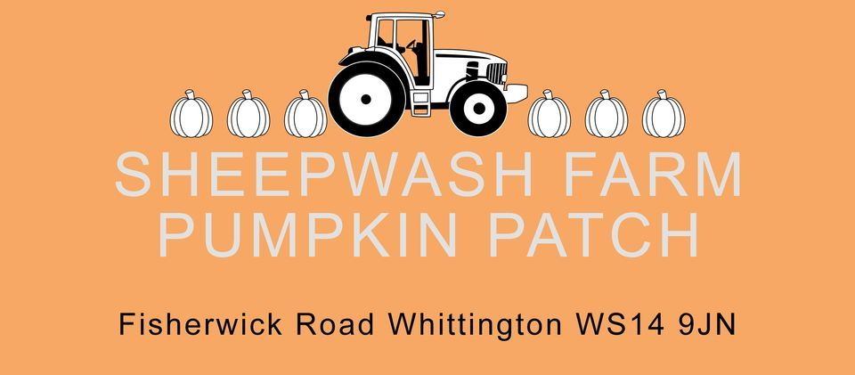 Pick Your Own Pumpkins at Sheepwash Farm at Sheepwash Farm, Lichfield ...