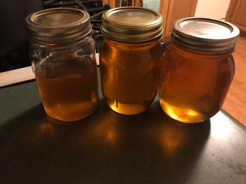 Full Sap Moon Hike and Lunar Eclipse | 8401 Union Chapel Road, Fort ...