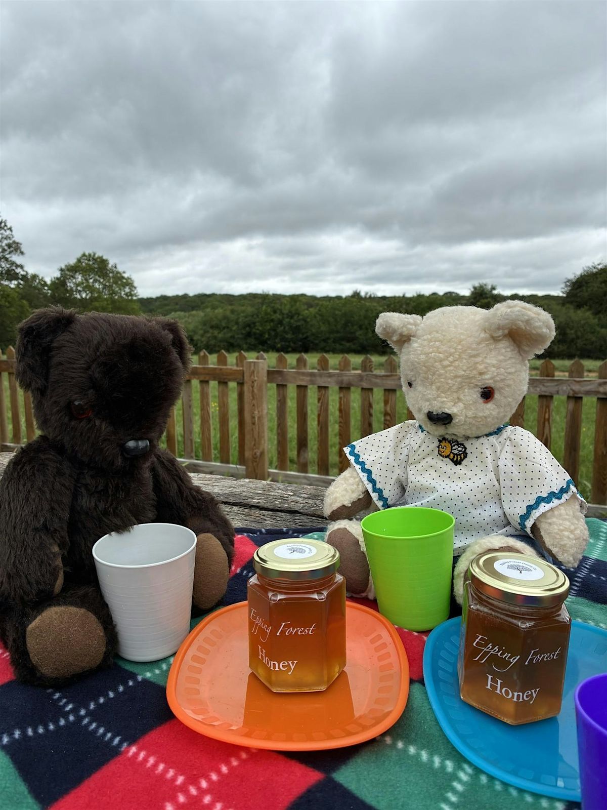 Celebrate National Teddy Bear’s Picnic day at Epping Forest at Epping ...