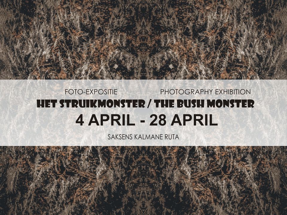 Foto-expositie Het Struikmonster / Photography Exhibition The Bush ...