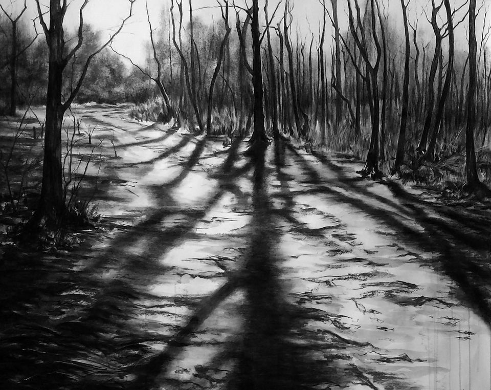 Charcoal Drawing for Everyone with Wendy Rhodes | Pegasus Art, Stroud ...