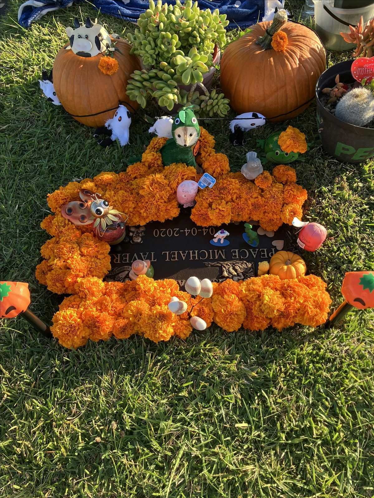 Grieve in Peace Group 4 ALL bereaved families at Kelly Park, Compton on ...