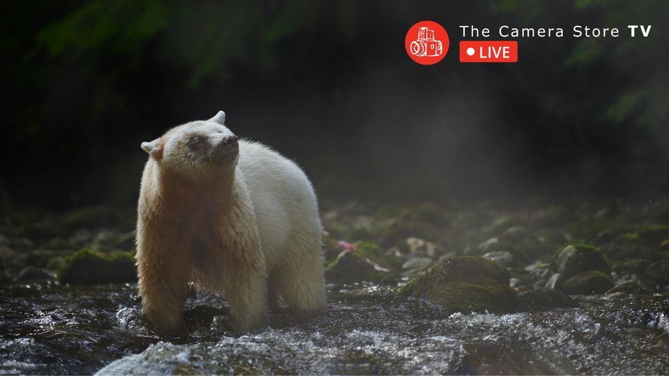 Nikons Long Lenses - A Rapidly Evolving Landscape at online on 28th ...