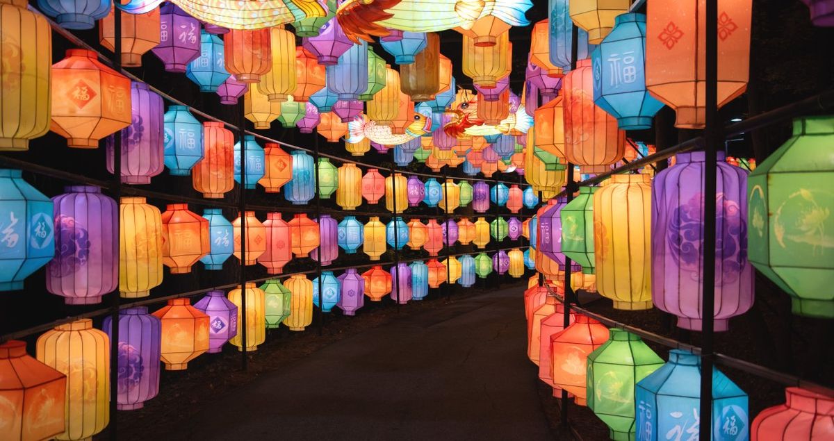 2025 North Carolina Chinese Lantern Festival - Evening Session at Koka ...