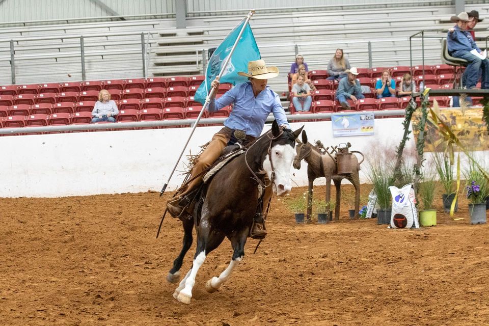 Wild Rivers Cowboy Challenge Competition | Lismore Showground, Lismore ...