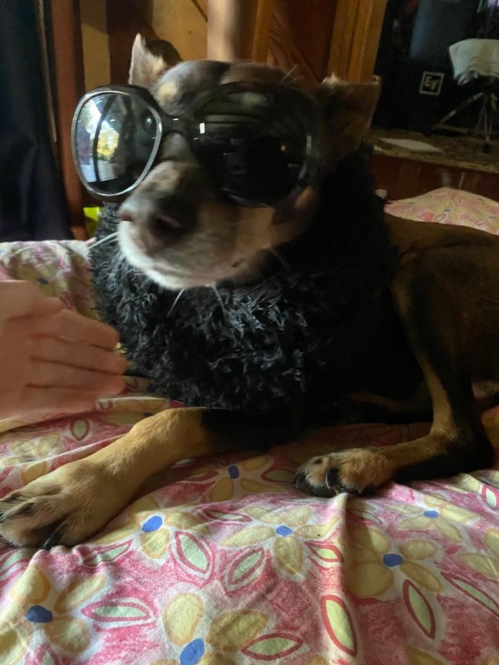 DARREN JACK SOLO ACOUSTIC @ THE TAPP BAR PORT PANTHERS | Panthers Port ...