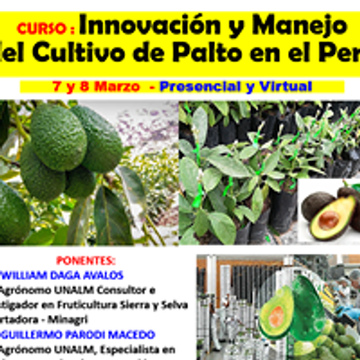 Webinar: Manejo Integrado de Plagas y Enfermedades en el Cultivo de Palto | online | March 25 to ...