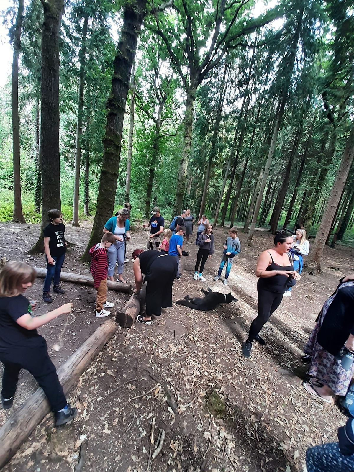 Autism Friendly Bushcraft Age 5-16 Firestone Copse Ryde at Firestone ...