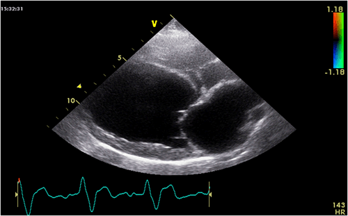 Basic Echocardiography - 2-Part Course - Vet CPD | Langford Vets Small Animal Referral Hospital ...