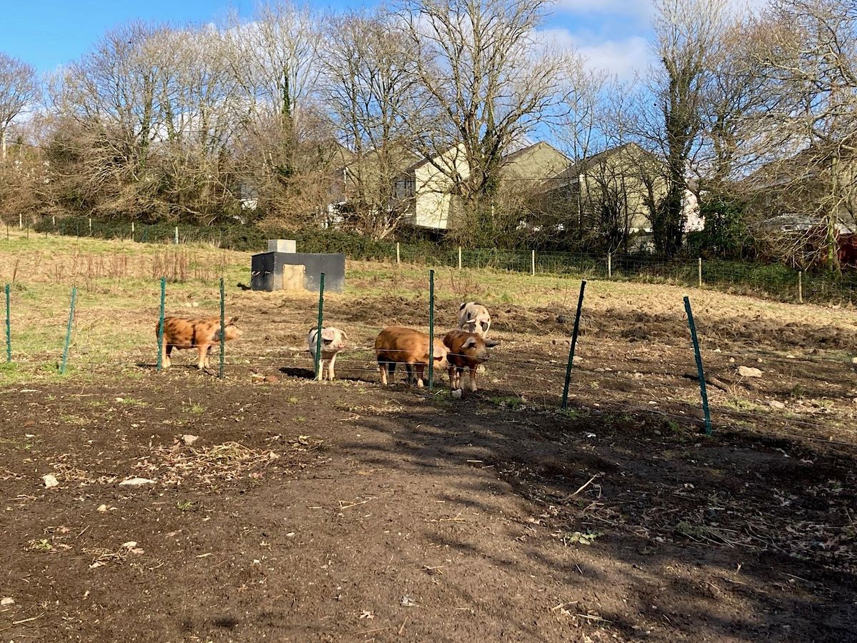 Mental Health Awareness Week at Poole Farm at Poole Farm, Plymouth on ...