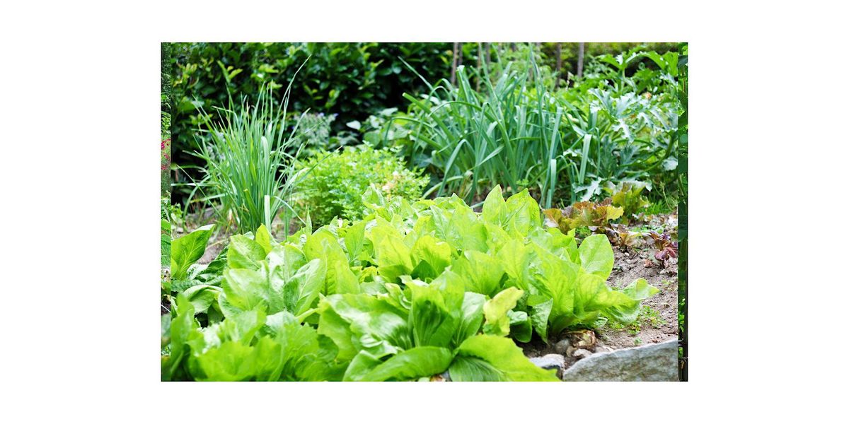 Earthbound Farm Stand Winter Solstice Gathering! | Earthbound Farm ...