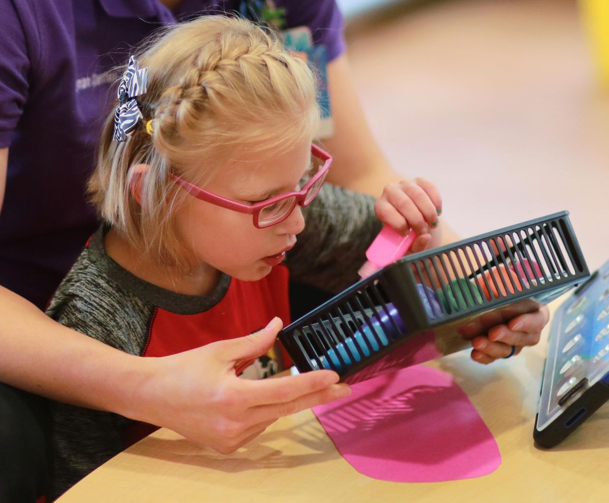 Perlman Center Knowledge Hub - Cortical Visual Impairment: Back to ...