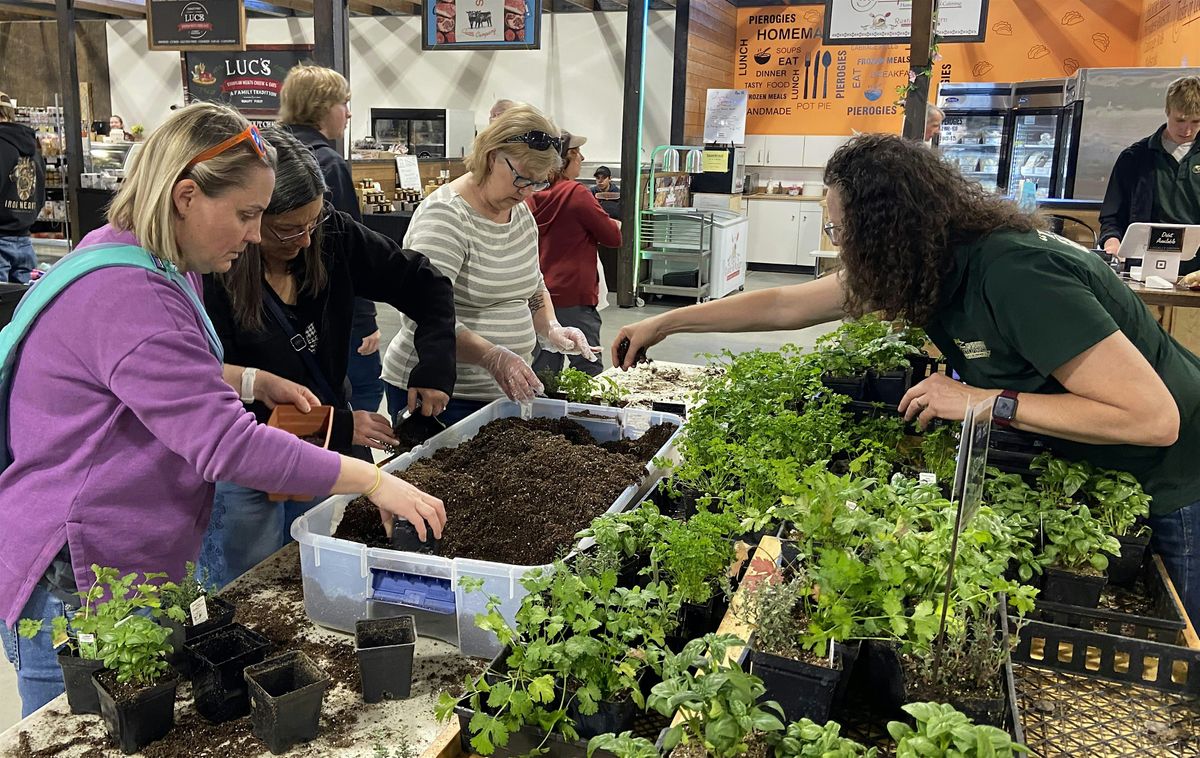 Herb Garden | Calgary Farmers' Market West | April 20, 2024