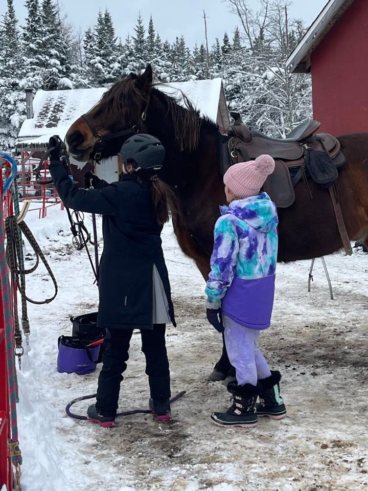PD day camp for ages 6-15 | Rocky Hollow Ranch, Hammonds Plains, NS ...