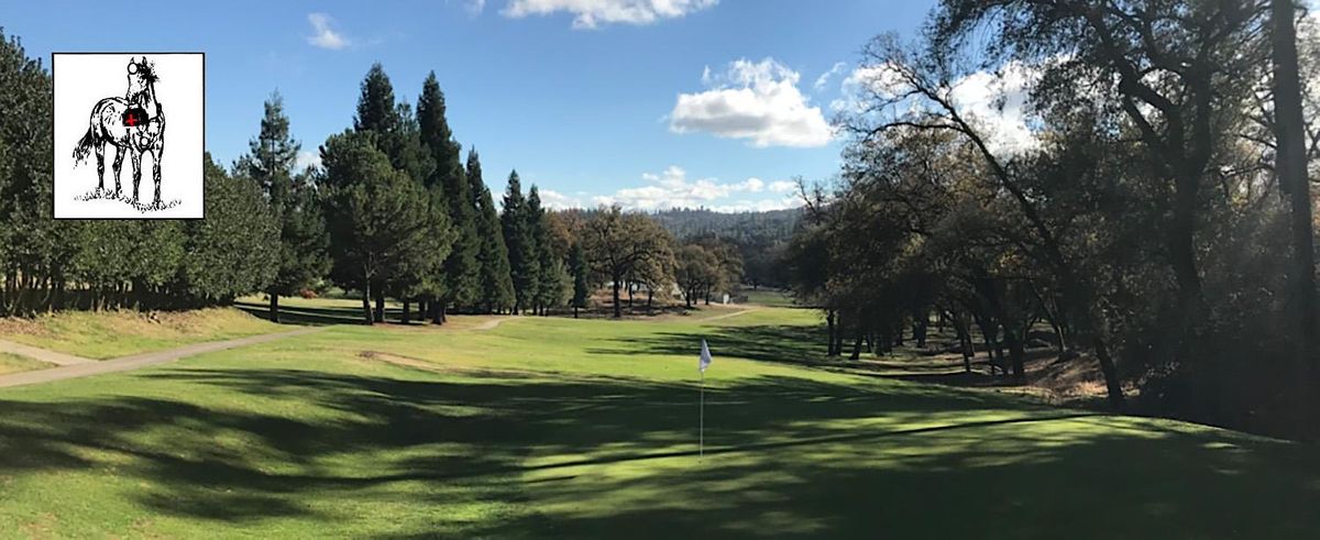 2023 Horses for Healing 9-Hole Golf Tournament at Black Oak Golf Course, Auburn on 22nd April, 2023