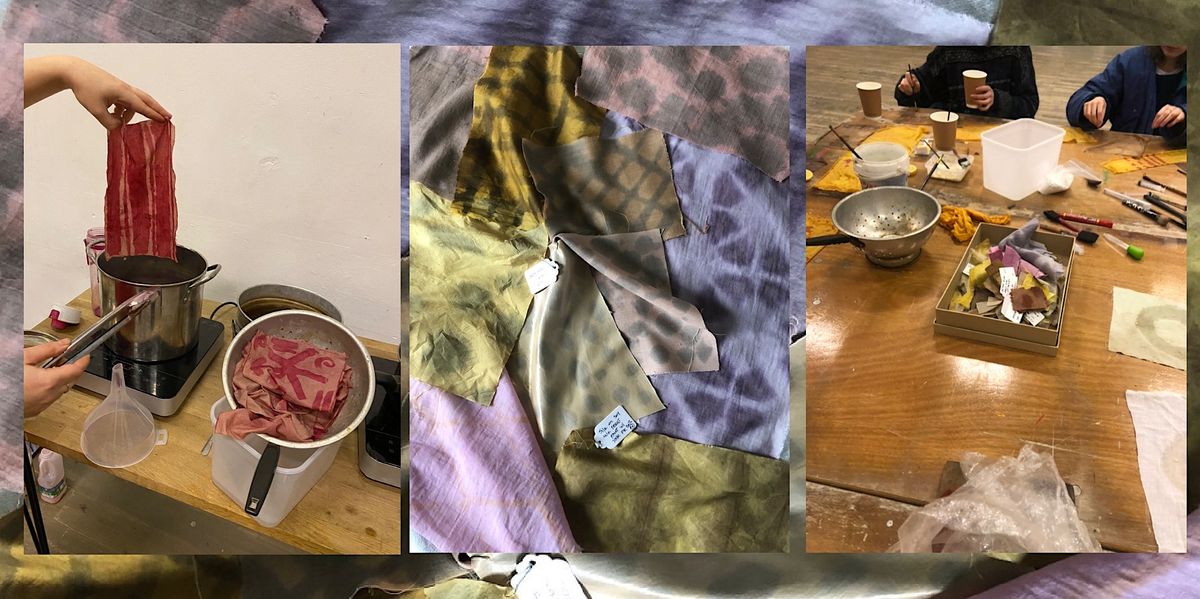 Botanical Dyes: painting textiles and shifting colours using modifiers ...