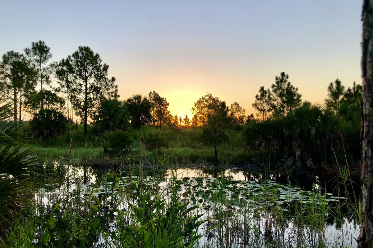 Hike the CREW Flint Pen Strand Trails at Flint Pen Strand Trailhead ...
