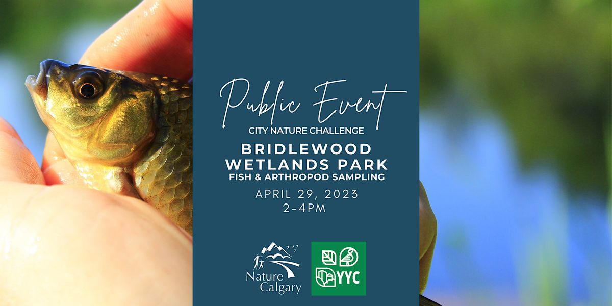 City Nature Challenge - Bridlewood Wetlands Park at Bridlewood Wetlands ...