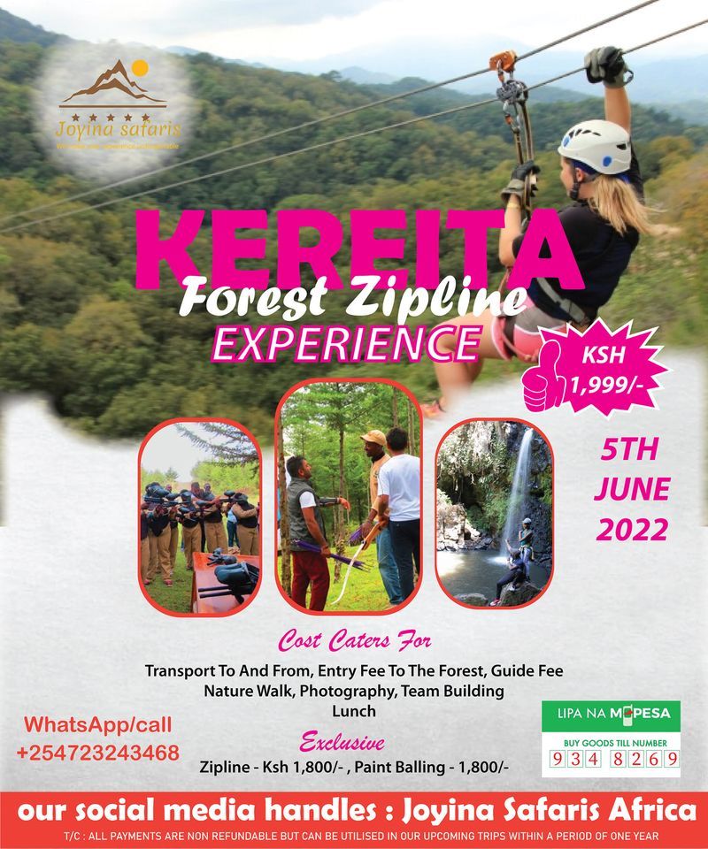 KEREITA FOREST ZIPLINE EXPERIENCE | The Forest Kimende, Nairobi, NA ...