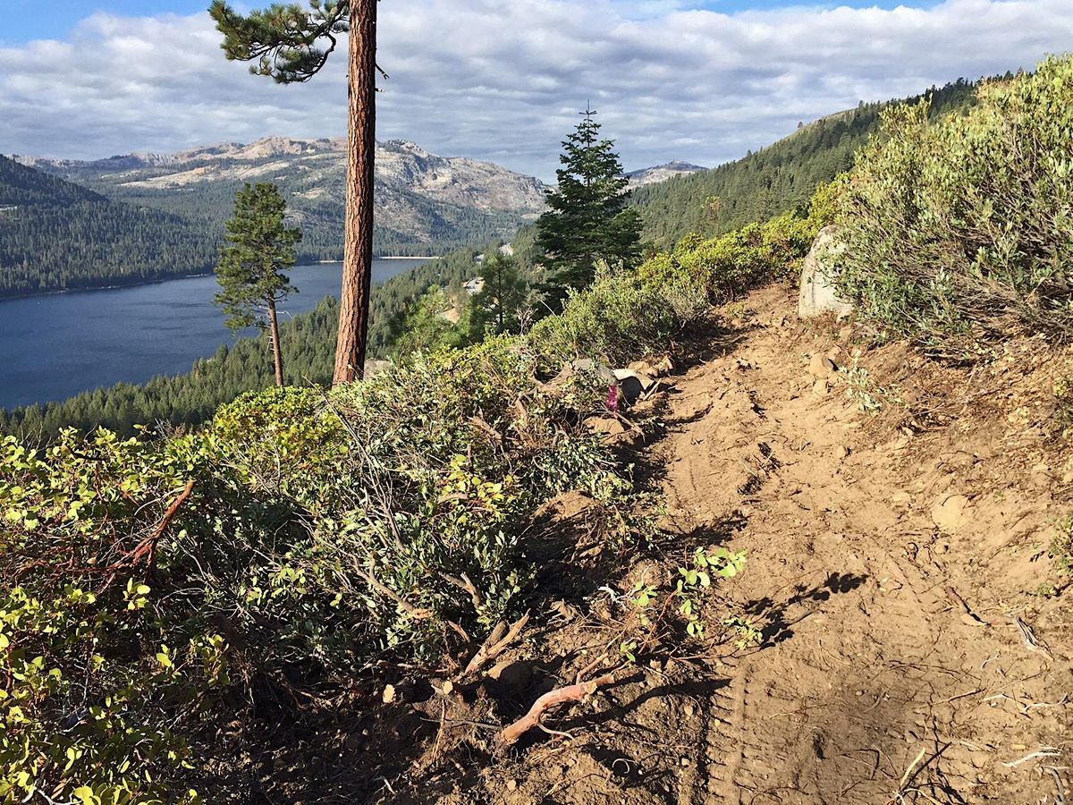 Donner Lake Rim Trail 2023 - Glacier Way to Drifter Hut at Glacier Way ...