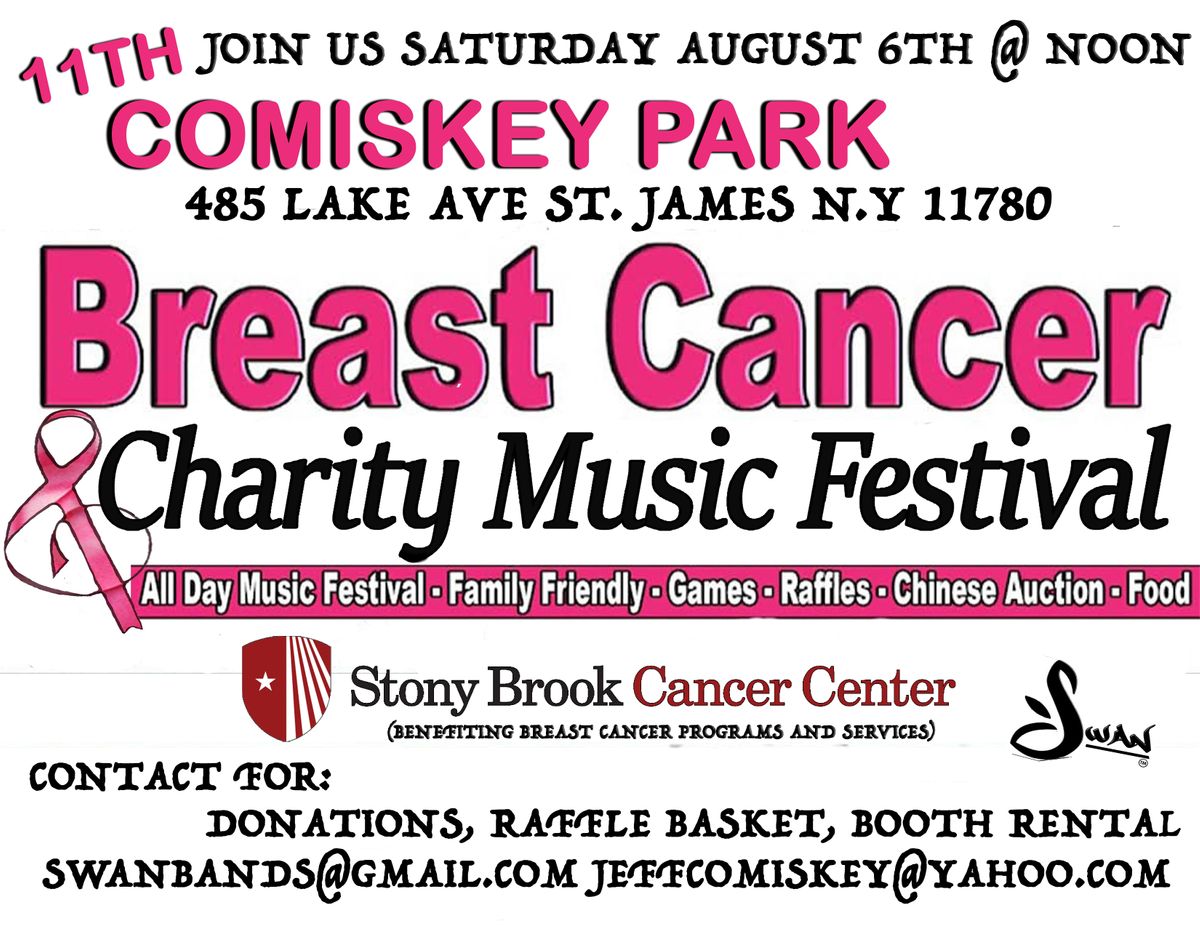 11th Comiskey Park Loves Boobies Cancer Chairty music Festival at ...