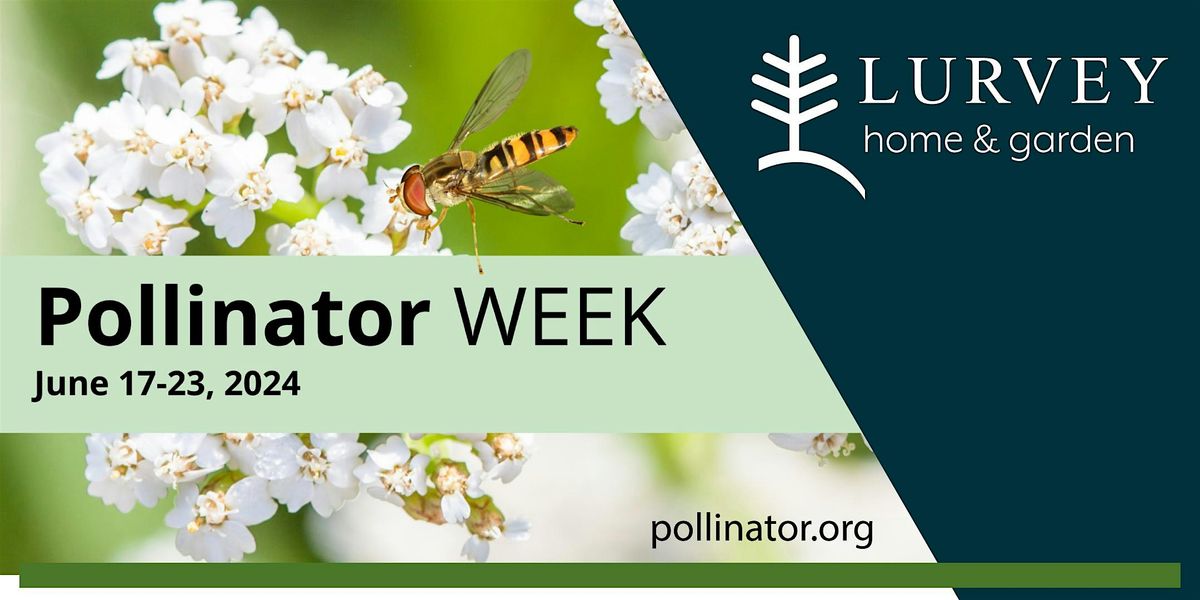 National Pollinator Week 2024 Finale at Lurvey Center, Des Plaines on 22nd June, 2024