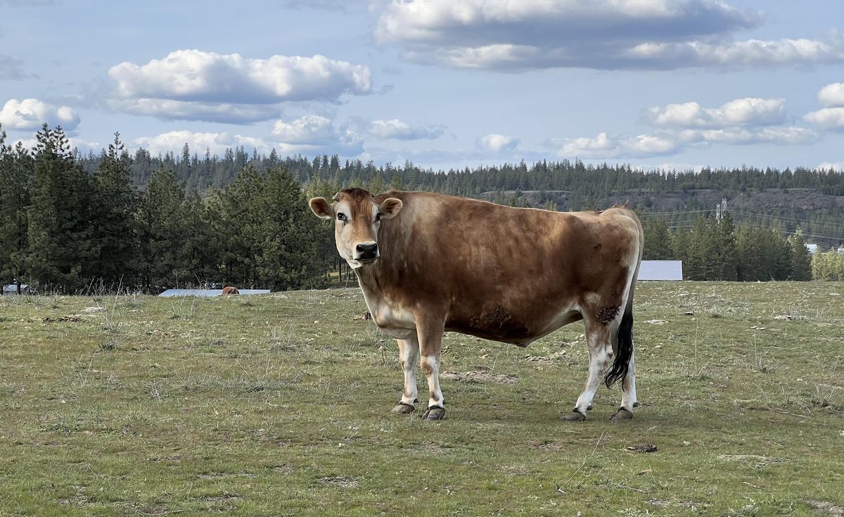 2022 Rivers Wish - Guided Tours at River's Wish Animal Sanctuary ...