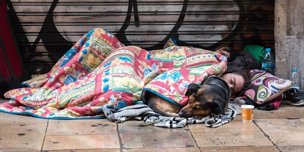 Multispecies Families on the Streets: Dogs and Their Homeless Guardians ...