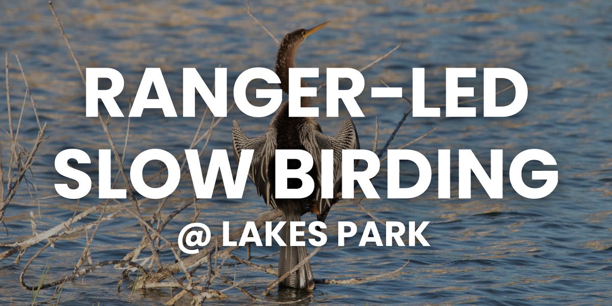 Slow Birding with a Ranger ("Ding" Day Program) @ 11:30 | Lakes Park ...