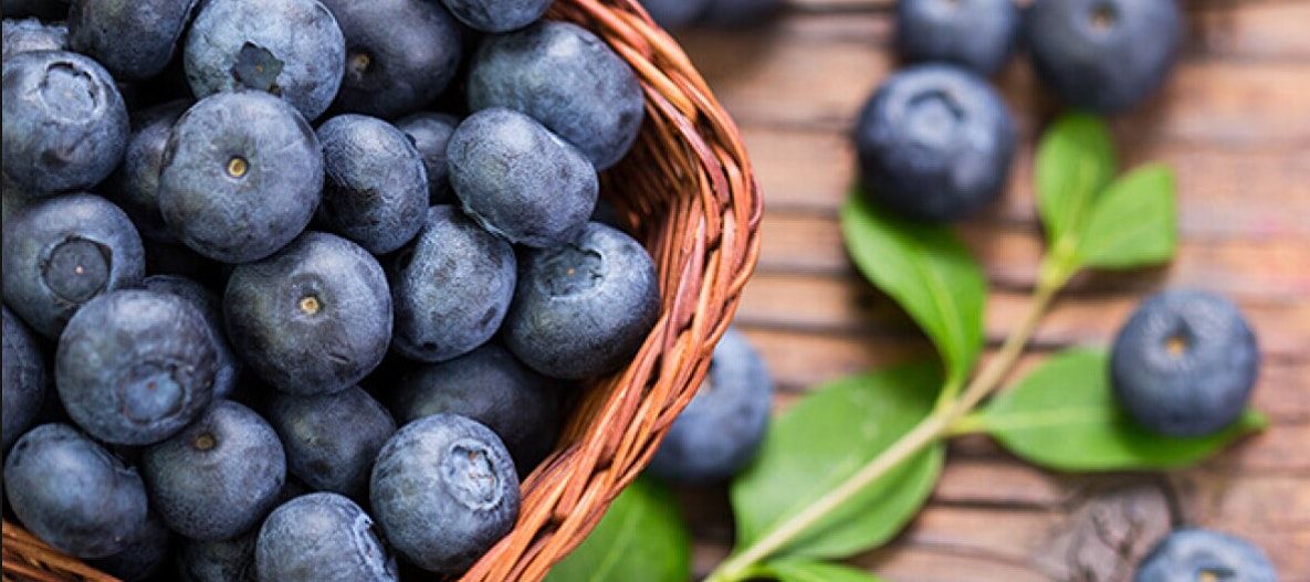 Blueberry Cooking Class | The Cook's Station, Greenville, SC | August ...