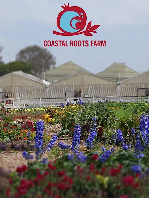 Coastal Root Farms- Cultivating Nutrition | Coastal Roots Farm ...
